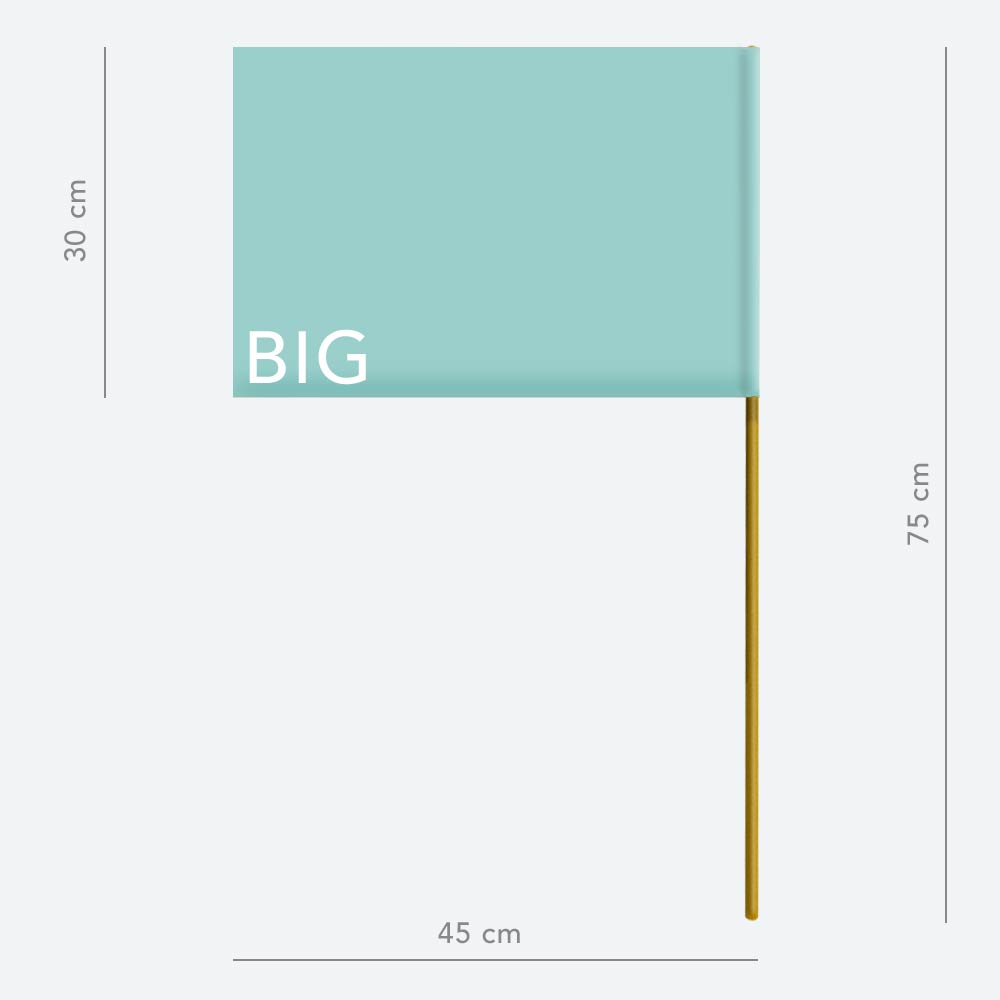 Bandera con Palo impresa en tela varios tamaños. Venzes Comunicación